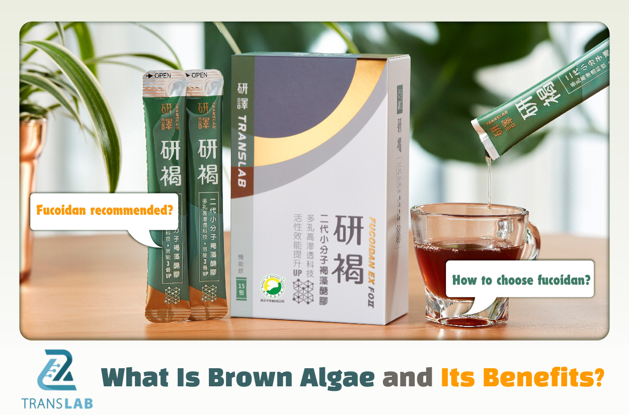Brown Algae: Benefits, Uses, and Nutrition - Translab International Ltd.